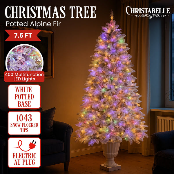 Christabelle 2.3m Christmas Tree Potted Alpine Fir with Pre Lit Multi ...
